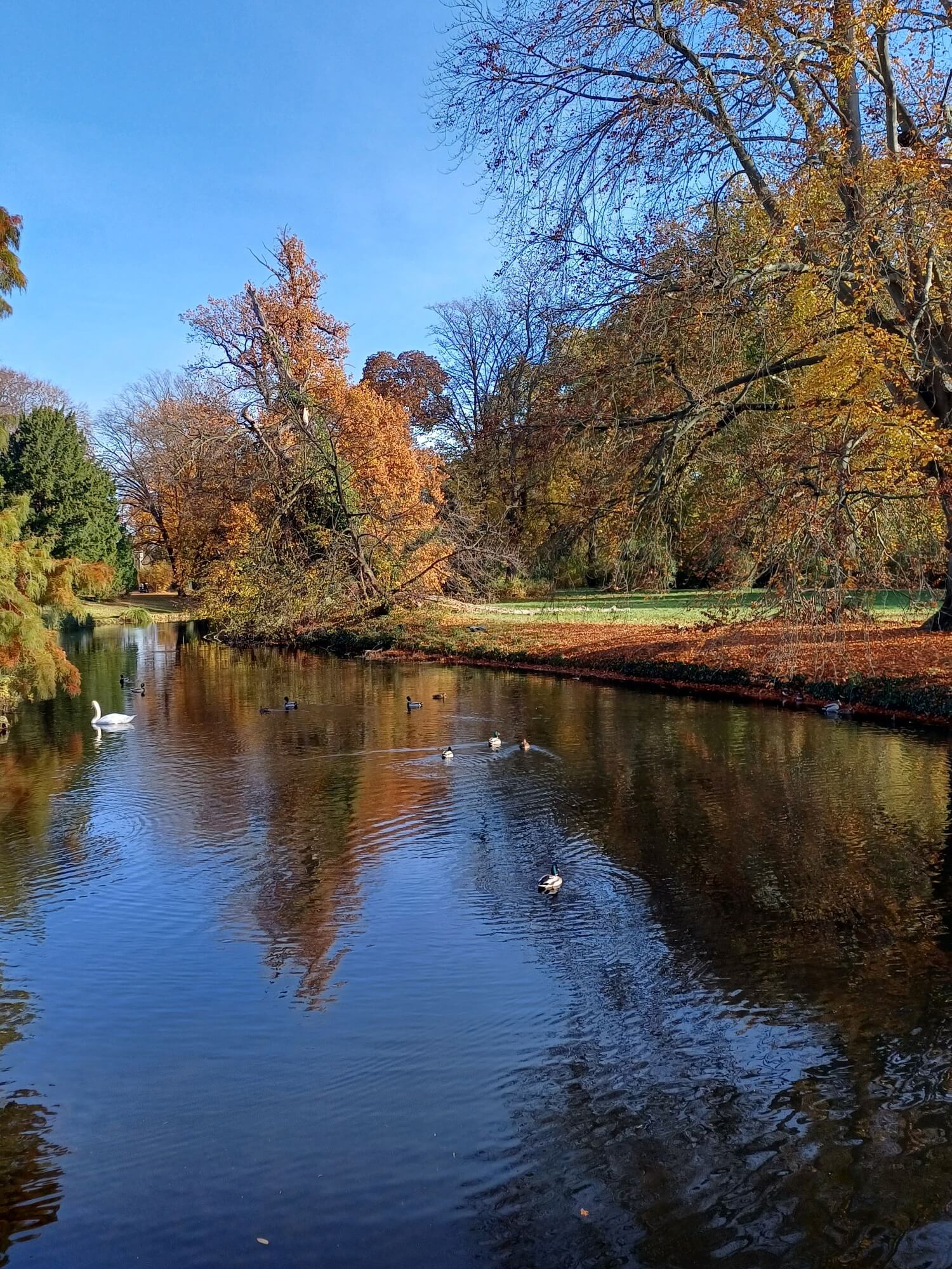 Potsdam: ein Tag in der UNESCO-Welterbe-Stadt | A Taste for Travel